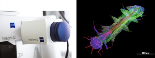 ApoTome | Focus Precision Instruments